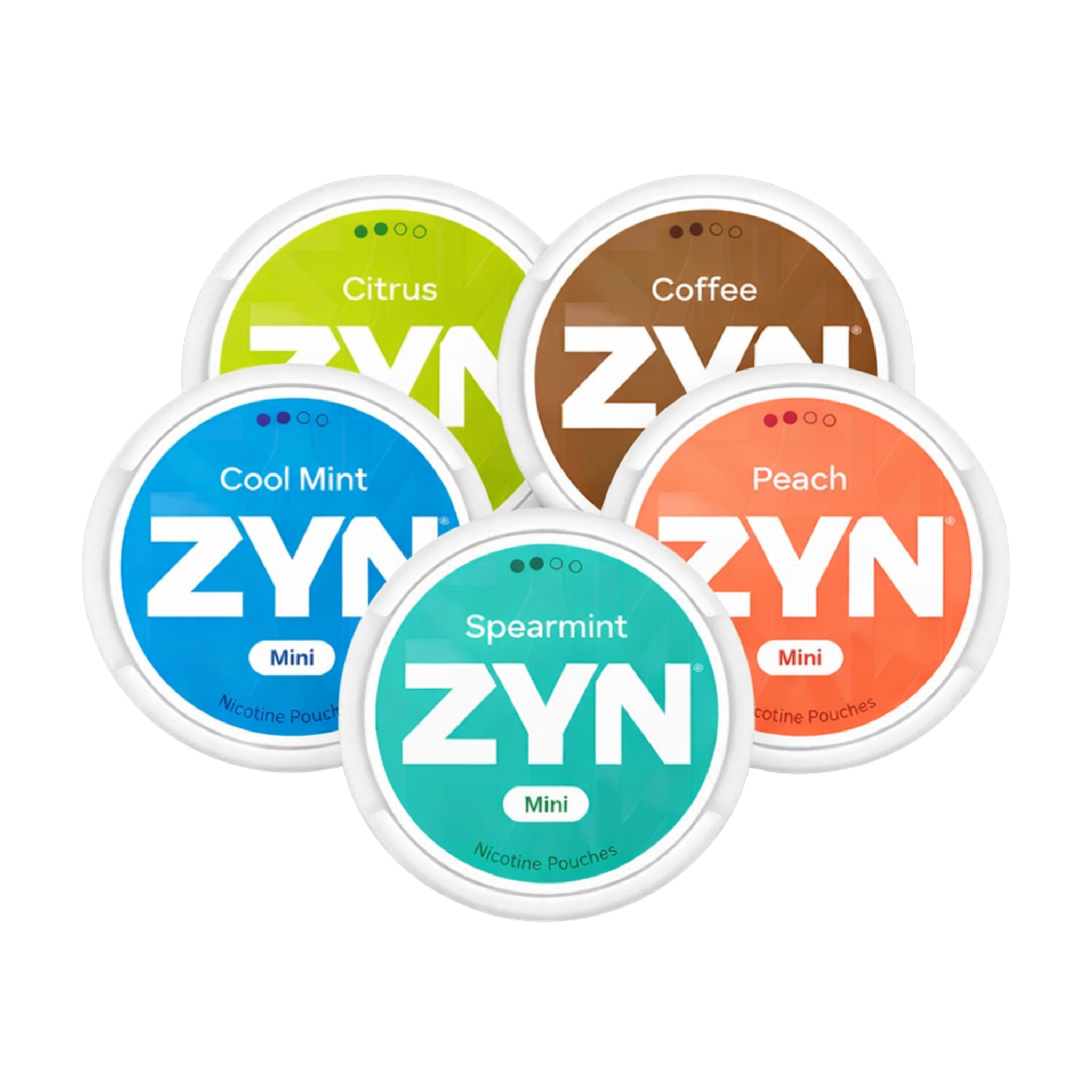 BUY ZYN Big Mix Pack (1,5-3 mg/pouch) | MINI, ZYN, 3 MG, worldwide ...